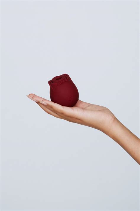 Rechargeable 10 Function Sucker Rose Sex Toy Nasty Gal