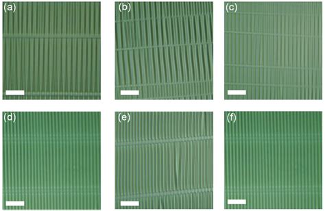 Wrinkle Patterns On Three Different Bilayer Samples Each With A Pair Download Scientific