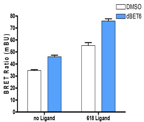 Brd4 Ternary Complex Protac Assay Service Reaction Biology