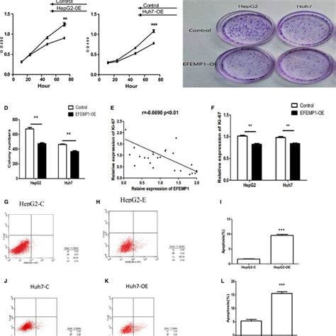 A Cellular Senescence β‐galactosidase Staining Assay Blue Staining Of