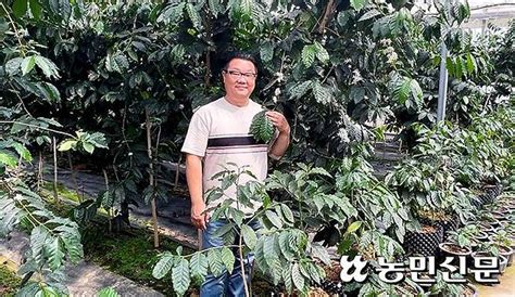 화제 한국적인 커피향 즐기세요스페셜티 등급 원두 연구소 운영