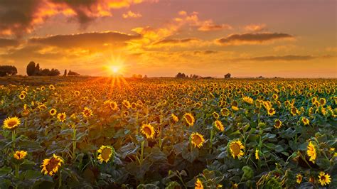 November 9 2022 Community Defined Decarbonization Shift Zero