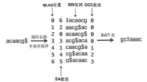bwa mem算法记录 weixin 34075551的博客 csdn博客