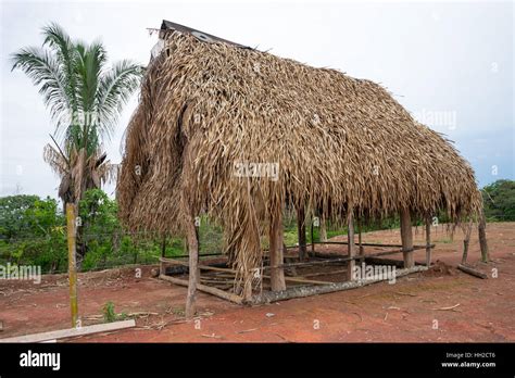 Build A Palapa