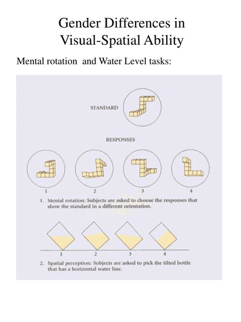 Ppt Gender Role Development Powerpoint Presentation Id479119