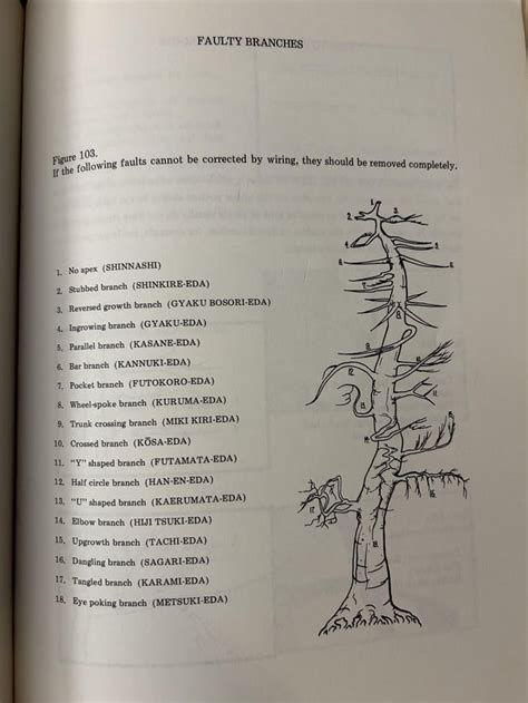 A Tree With All The Wrong Branches From John Nakas Book Rbonsai