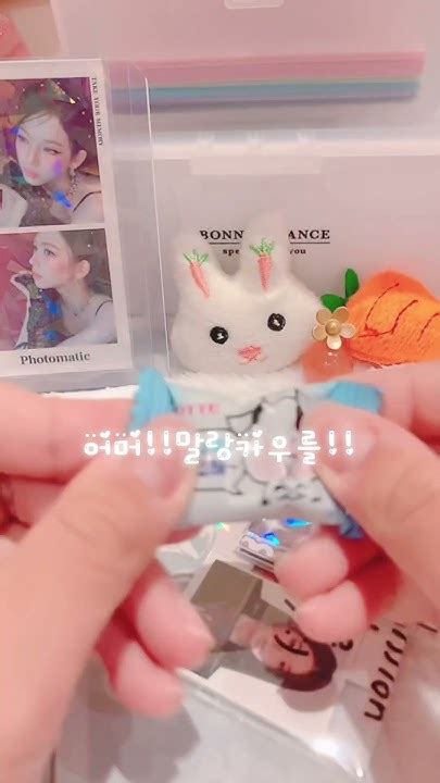 비상사태🚨불러 박사박자관리자님사랑해요 관리자님예뻐요 관리자님이거추천어때요 포카포장 Ive 알고리즘잘생김 다이브 Youtube