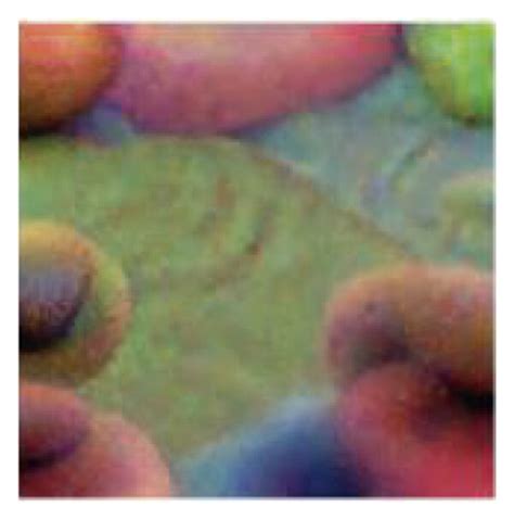 Four Batches Of Adversarial Patches Generated By Our Work Download Scientific Diagram