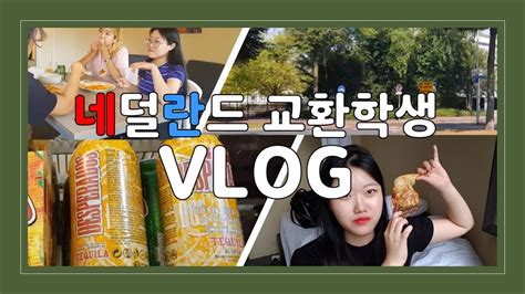 교환학생 Vlog 네덜란드에서의 생활 │요리 마트 토요시장 석회물 Netherlands Youtube