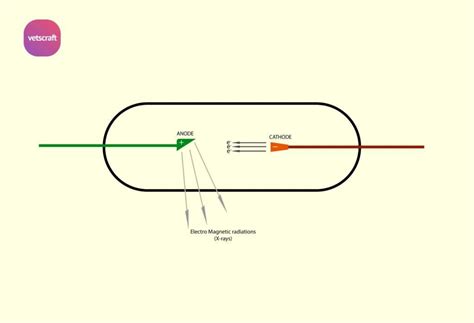 Production Of X Rays Sequence Of Events And Emission