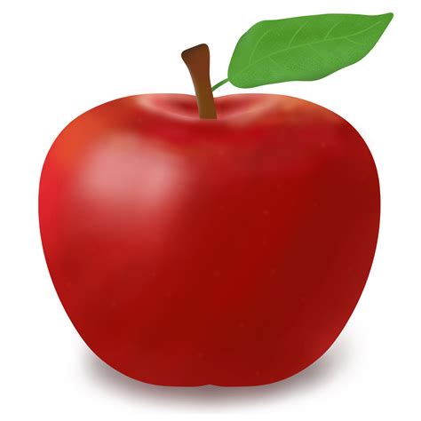 Red Apple Illustration 24073876 Png
