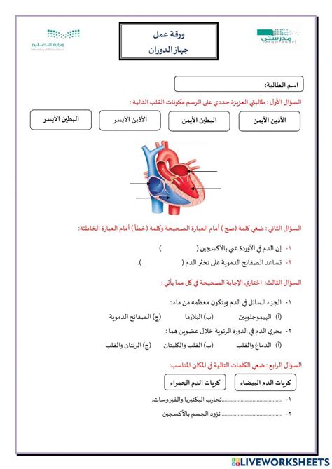ورقة عمل الجهاز الدوري Online Exercise For Live Worksheets