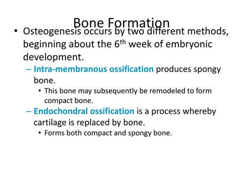 Ppt Bone Structure Powerpoint Presentation Free Download Id2064486