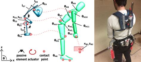 Left A Modeled Human The Exoskeleton And The Box With Their Download Scientific Diagram