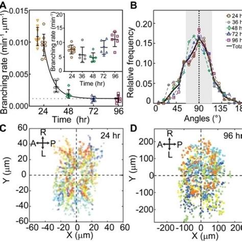 Figure S2 Tracking Dendrite Tips Download Scientific Diagram