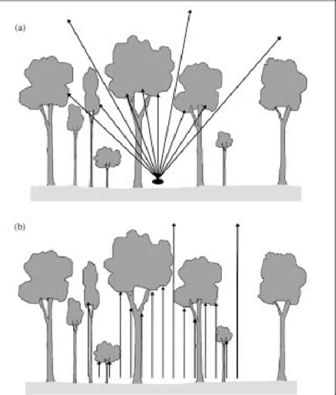 2 A Canopy Closure B Canopy Cover Jennings Et Al 1999 Download Scientific Diagram