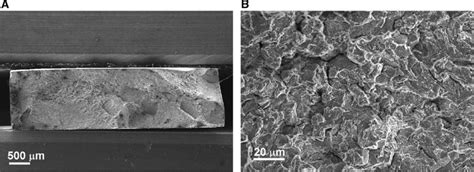 General View Of The Fracture Surface A And Transgranular Fracture Download Scientific Diagram