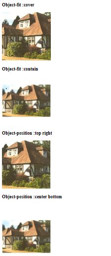 How To Scale And Crop Images With CSS