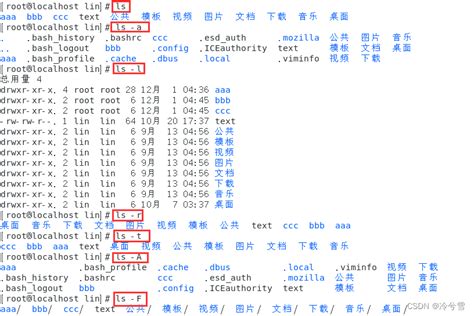 linux的十个常用命令 阿里云开发者社区