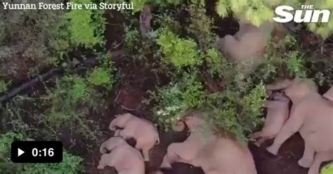 Lagi Pada Tidur Ada Yg Tetap Bangun Sedang Kebagian Jaga Piket Gag