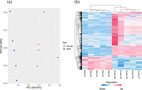 A Principal Component Analysis Between Male And Female Groups B