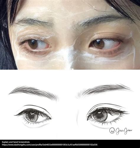 Screenshot Of 眼睛保姆级教程｜procreate手绘｜线稿讲解 6