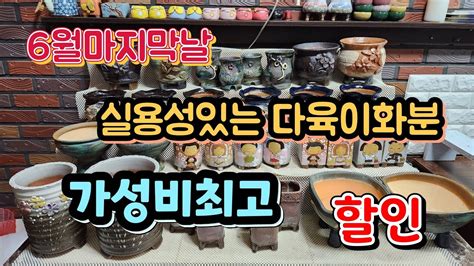 실용성있고 다육이화분 가성비최고 할인판매 Youtube