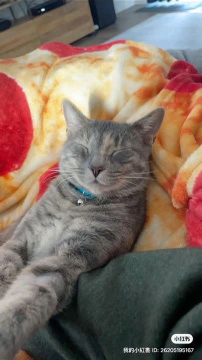 Devdive Devdives Gaming Indiegamedevelopment Gamedesign Pokemon Gamedevelopment Indiegame