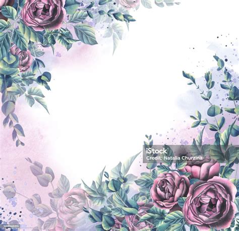 흰색 배경에 장미 잎 유칼립투스 가지가 있는 빈 디자인 수채화 그림입니다 웨딩 플라워 컬렉션의 템플릿입니다 카드 등록 초대장 개화기에 대한 스톡 벡터 아트 및 기타 이미지