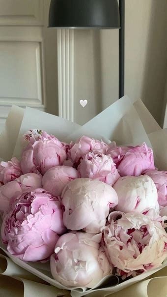 у ю т н о с т ь у ю т н о с т ь ВКонтакте