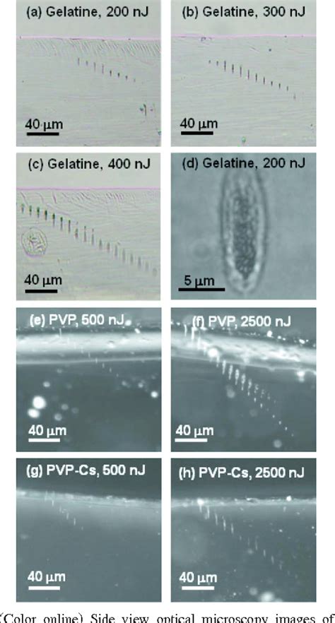 Figure 1 From Three Dimensional Microstructuring Of Biopolymers By Femtosecond Laser Irradiation