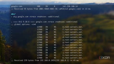 5 Reasons I Run My Own Dns Server With Unbound