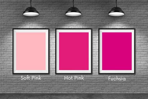 Soft Pink Vs Hot Pink Vs Fuchsia Shades Of Pink Explained Paint Color Comparisons Guides