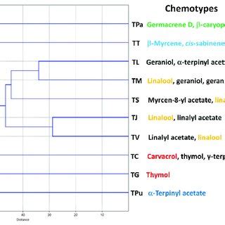 Dendrogram Obtained By Cluster Analysis UPGMA Euclidean Distance For