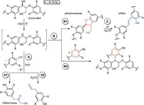 Possible Reaction Pathways After Formation Of The 훼 Carbocation In The Download Scientific