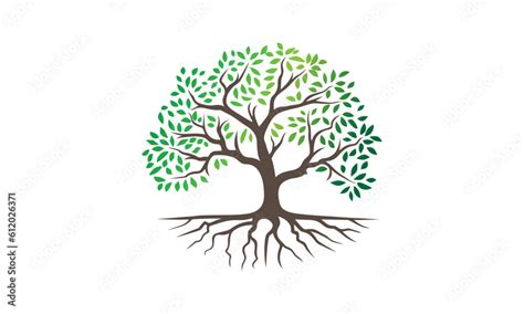Tree Vector Illustrations Roots Mangrove Tree Vector Isolated Stock Vector Adobe Stock