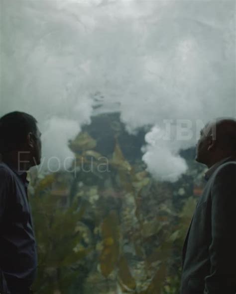 ibm on linkedin turning current data insights into actions with ibm