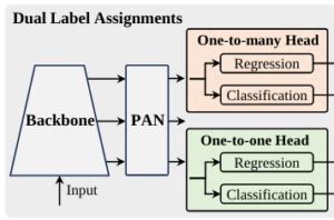 YOLOv Paper Explanation And Inference Results