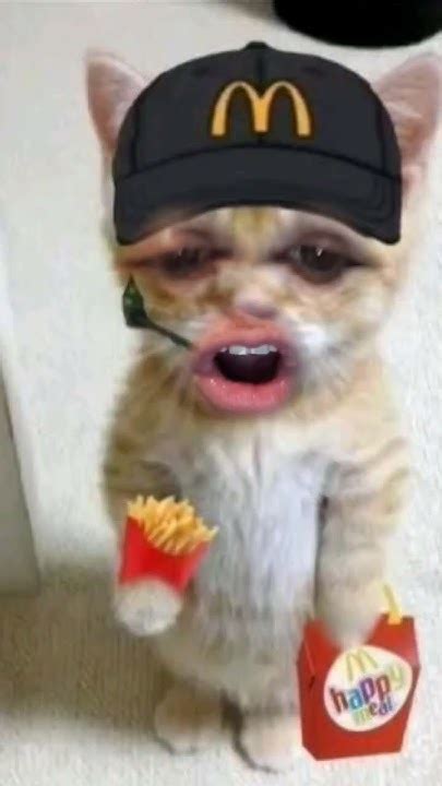 Mckittysim Bungry Youtube