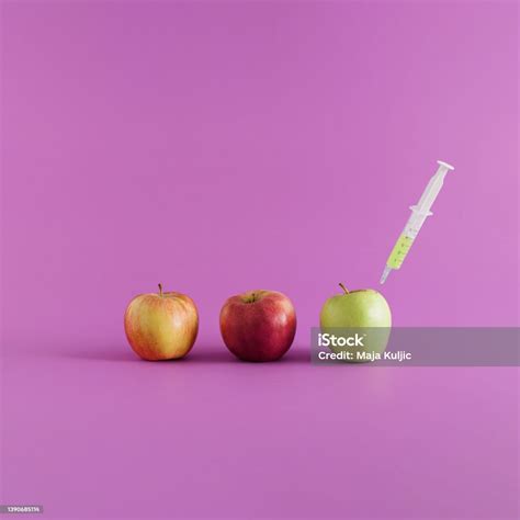 보라색 배경에 세 개의 사과와 주사기로 만든 최소한의 시각 복사 공간이있는 건강 관리 개념 0명에 대한 스톡 사진 및 기타 이미지 Istock
