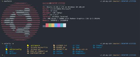 Ubuntu 安装 Zsh Oh My Zsh 美化终端ubuntu下载zsh Csdn博客