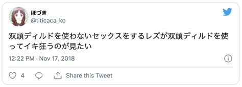 熟練度別正しいディルドの選び方と使い方 選 STERON