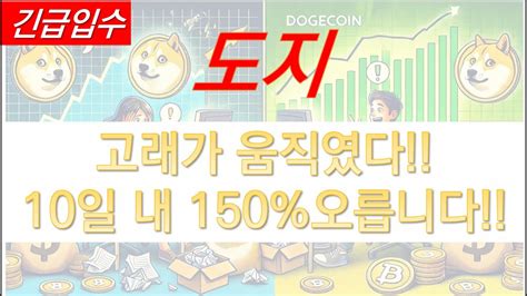 도지코인 고래 풀매수 중 타점 확인하고 추매하세요 Youtube