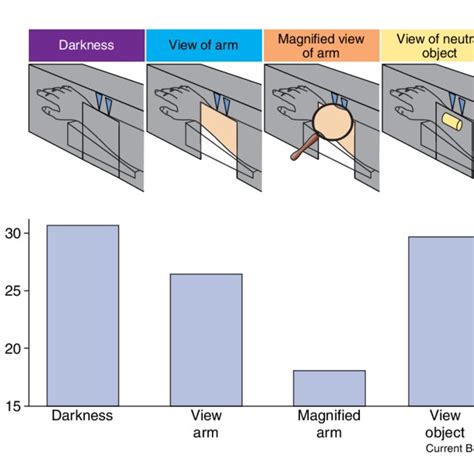 Non Informative Vision Enhances Tactile Spatial Resolution Two Point