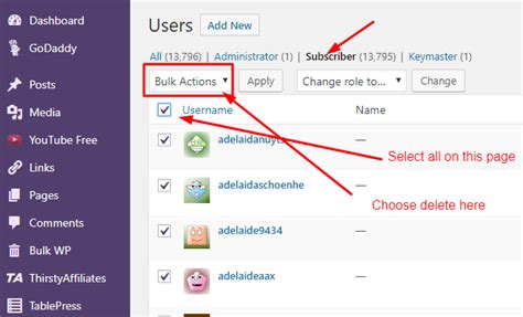 How To Bulk Delete WordPress User With Specific Roles Ok Ravi
