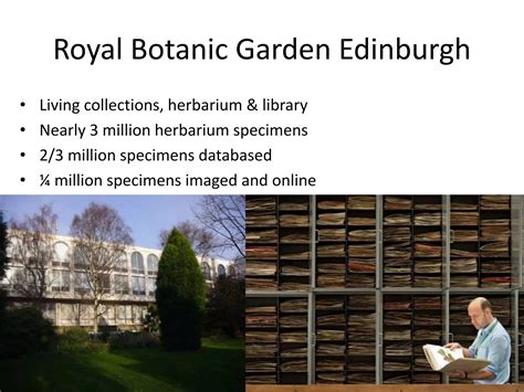 Incorporating Ocr Into A Digitisation And Curation Workflow Ppt