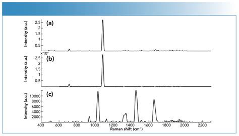 Using Handheld Raman Spectroscopy Equipped With Orbital Raster Technology For Field Detection Of
