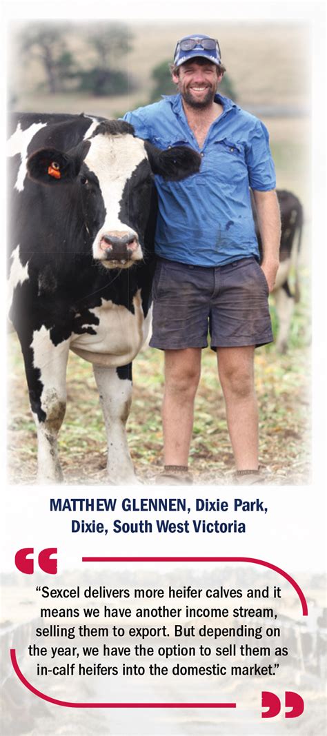 Sexcel Sexed Genetics ABS Global Australia