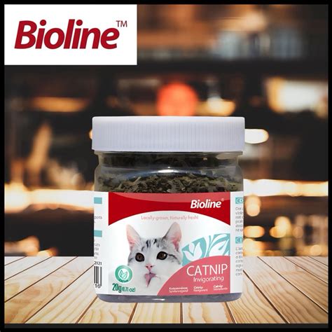 Bioline Catnip Invigorating Jar20g Shopee Philippines