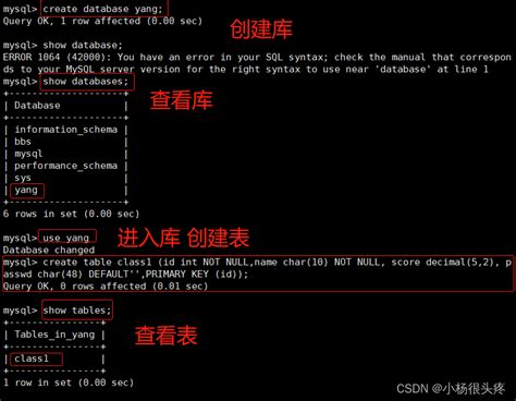 Mysql数据库管理基操作添加字段库的名称idname Csdn博客
